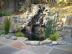 Landscape Design/ Build East Bay Bio Friendly Gardens